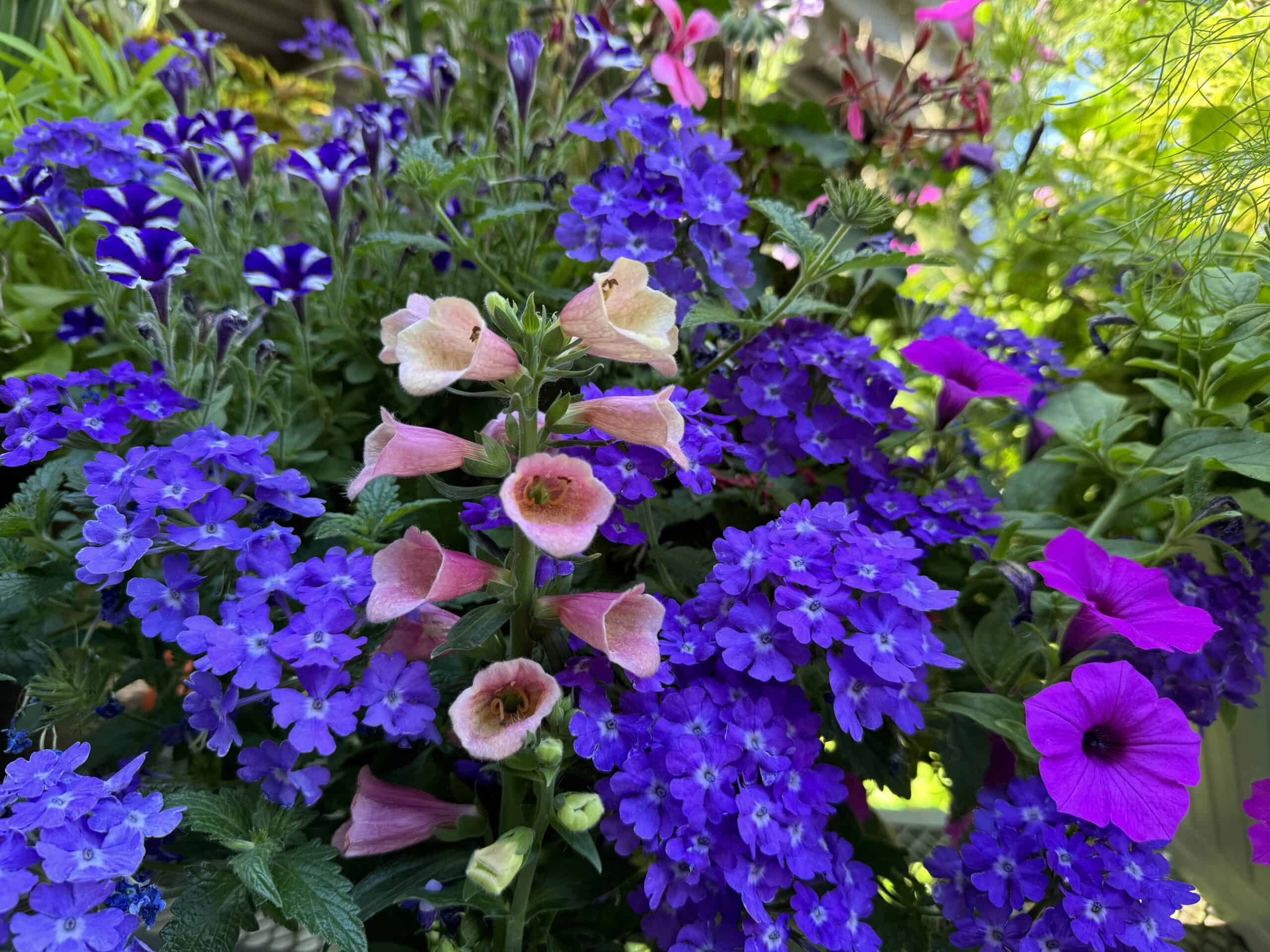 The Practical Magic of Practice – Angela Rider